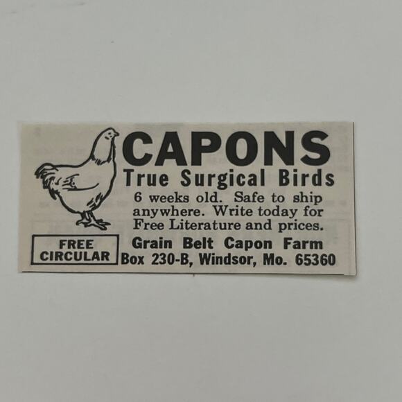 None and/or Unknown | Other | Grain Belt Capon Farm True Surgical Birds ...
